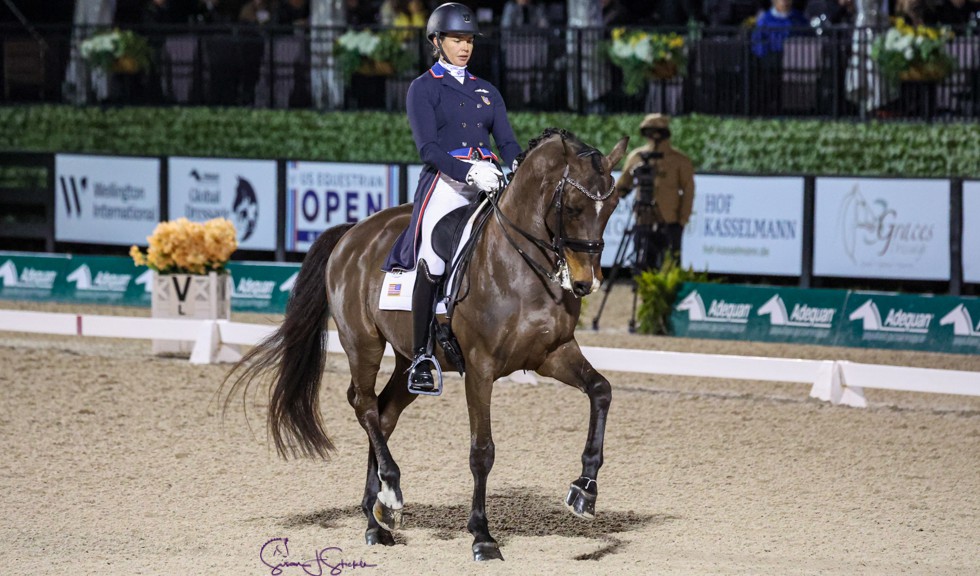 Global Dressage Festival LLC